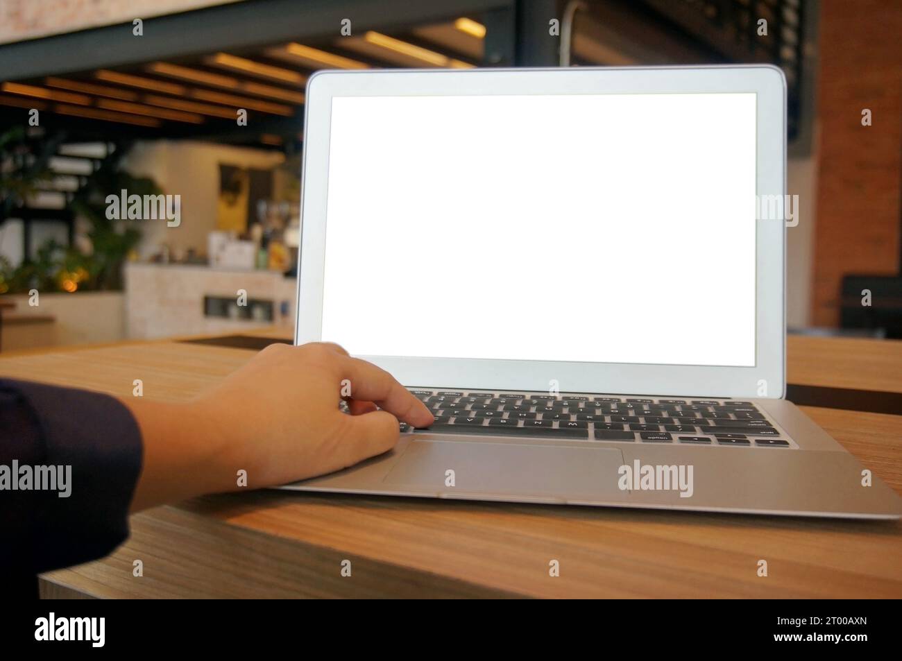 Business woman working on Laptop with Mock up blank screen. technology ...