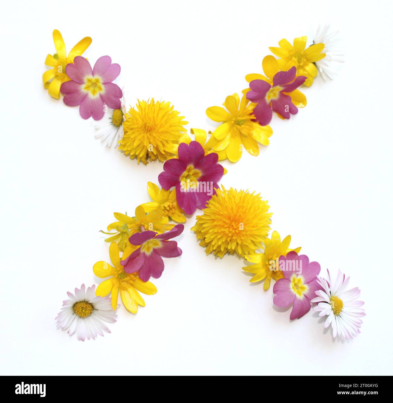 symbols, letter x from freshly picked yellow, orange, flowers. for ...