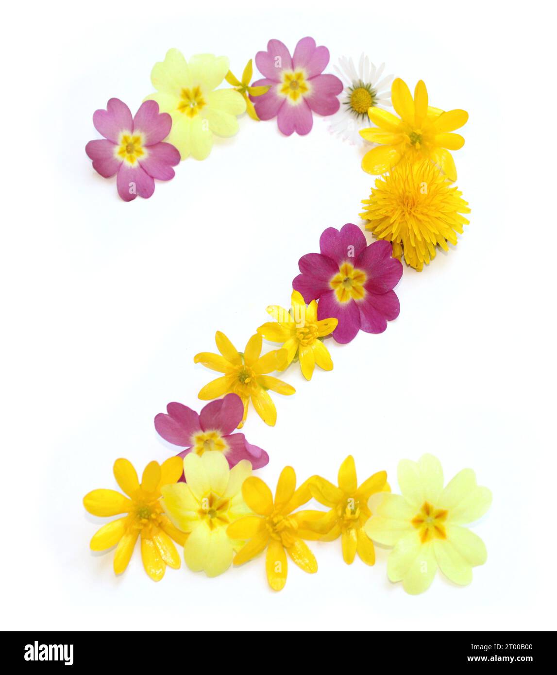 200 years celebration Cut Out Stock Images & Pictures - Alamy