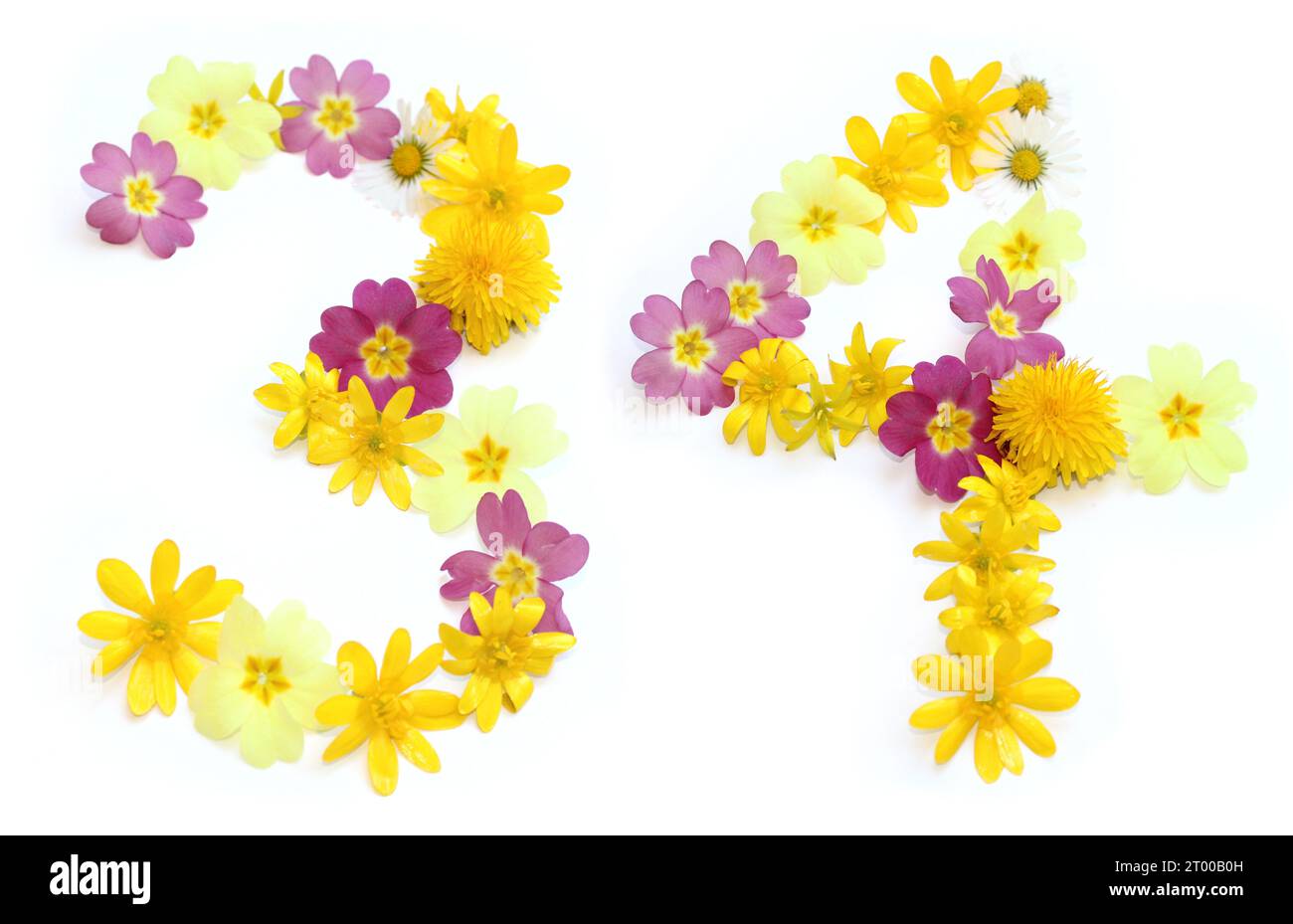 34 anniversary hi-res stock photography and images - Alamy