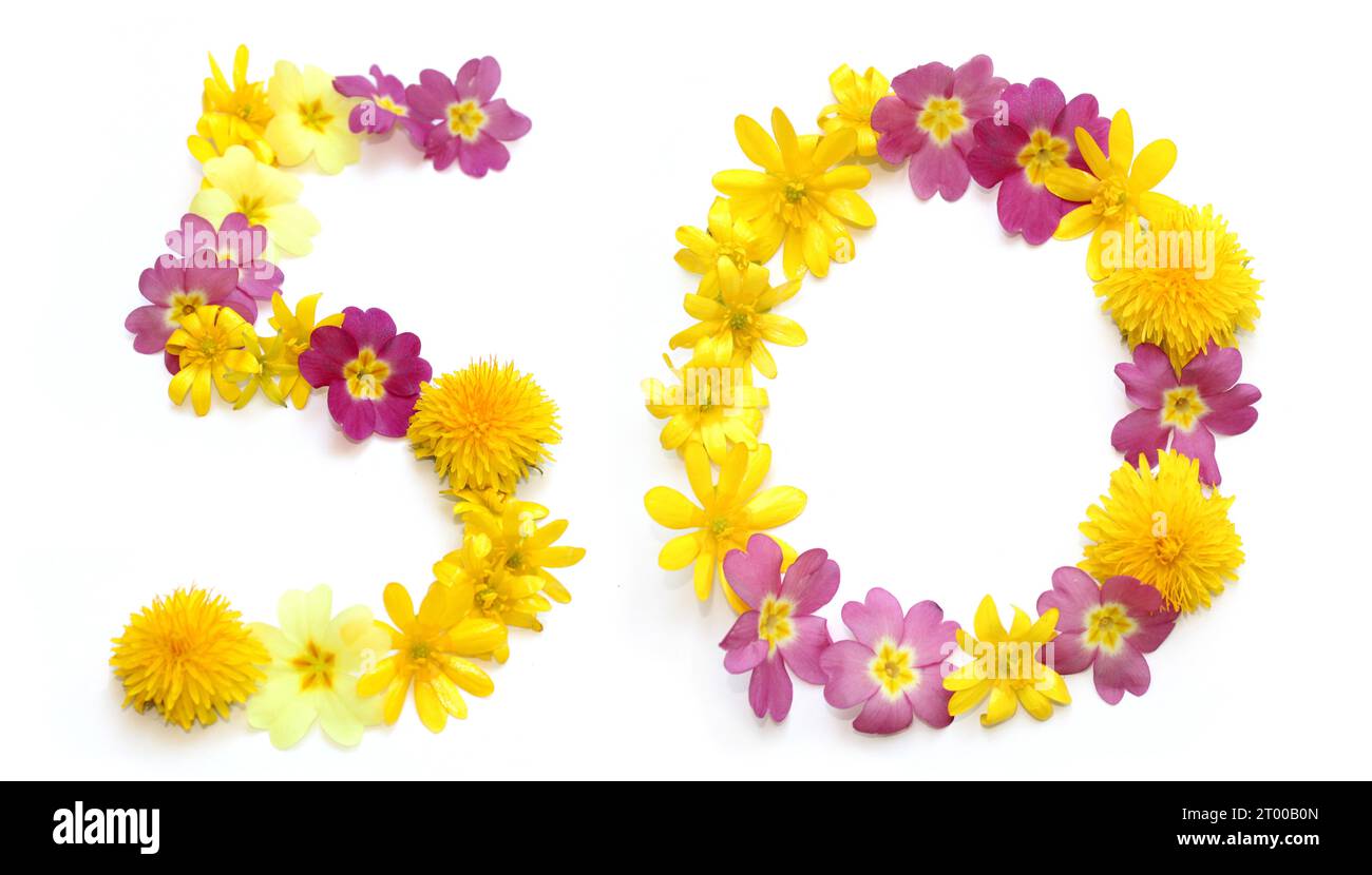 number made from freshly picked yellow, pink flowers. isolated on white ...