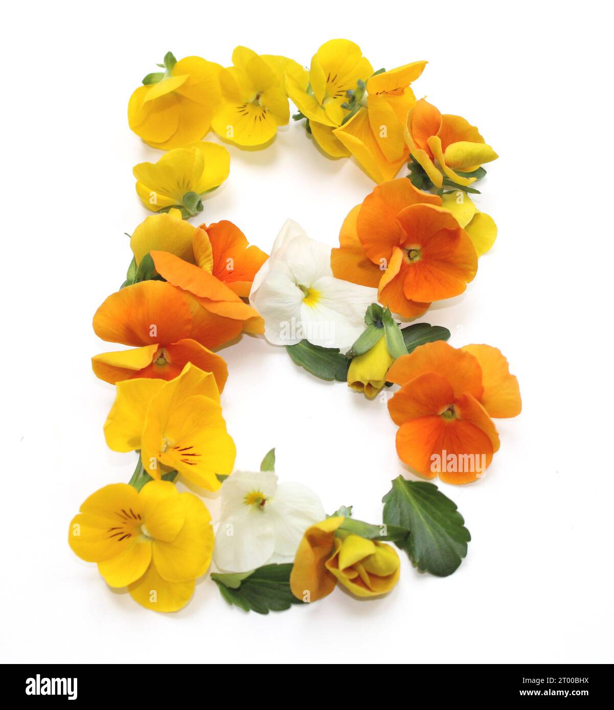 Spring vacation botanical garden Cut Out Stock Images & Pictures - Alamy