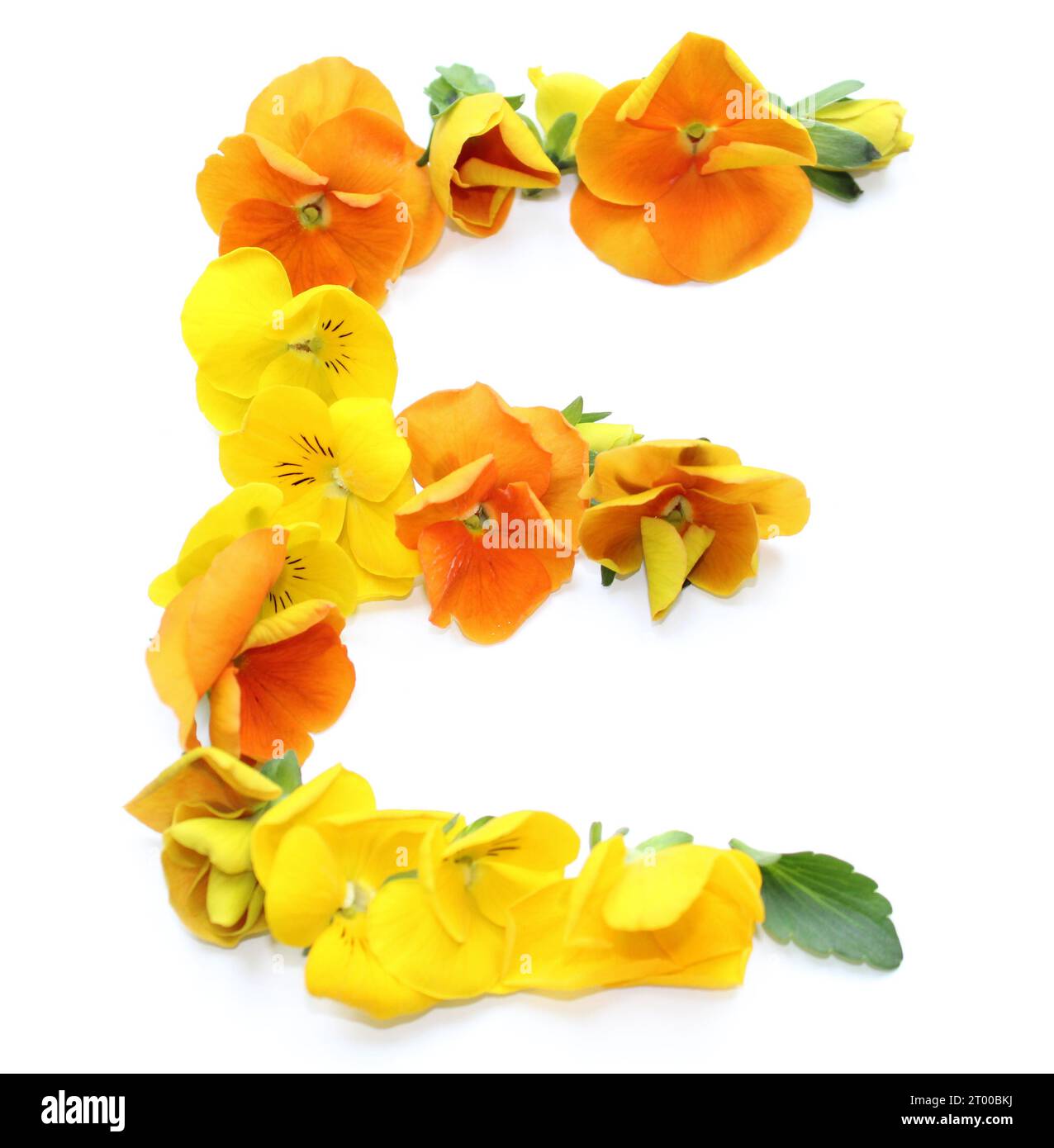Letter e flowers hi-res stock photography and images - Alamy