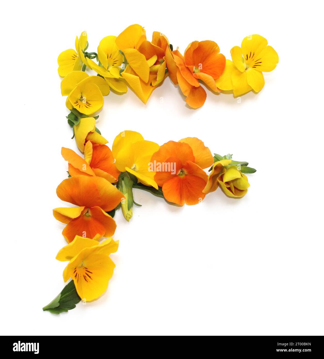 f, natural flower arrangements with orange yellow real fresh flowers ...