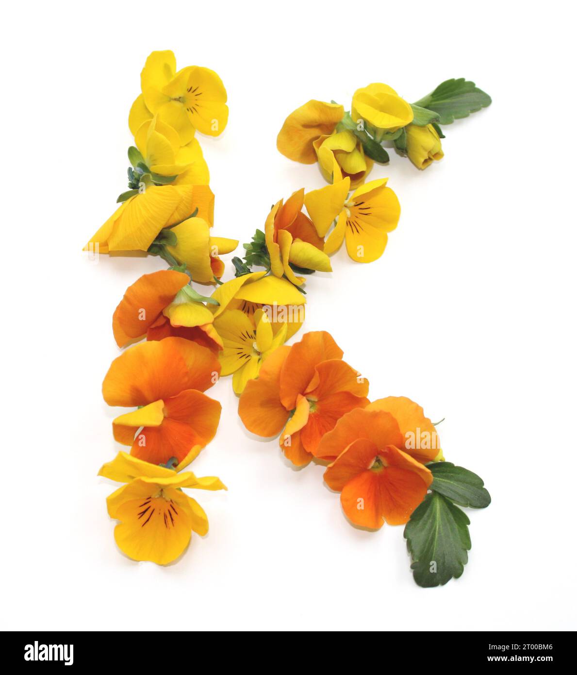 k, natural flower arrangements with orange yellow real fresh flowers ...
