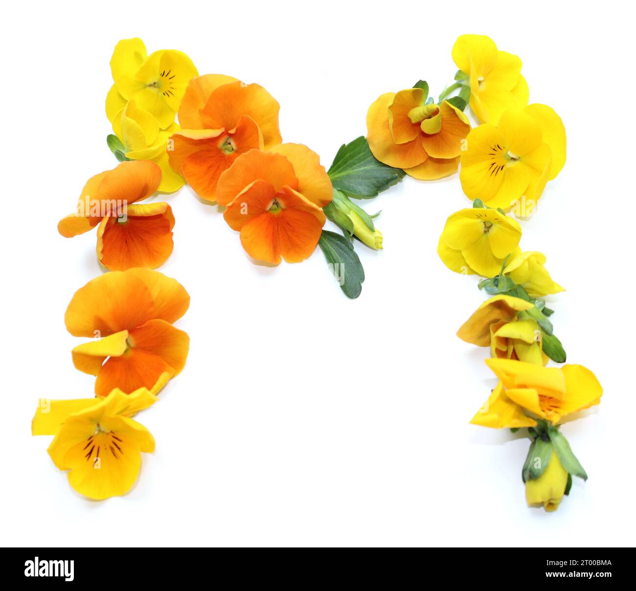M, natural flower arrangements with orange yellow real fresh flowers ...