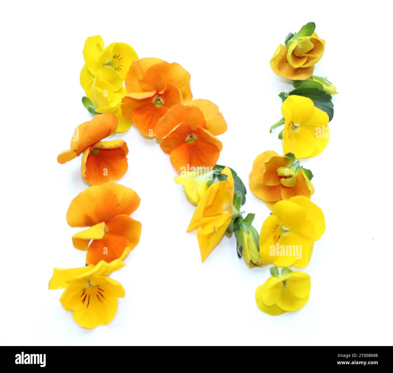 Letter n flowers Cut Out Stock Images & Pictures - Alamy