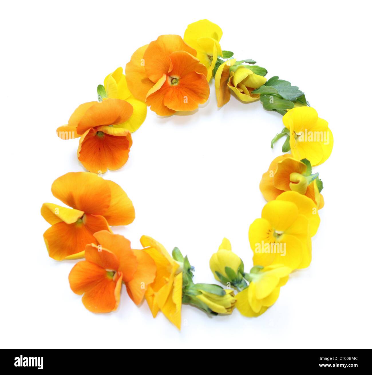 Letter o flowers hi-res stock photography and images - Alamy