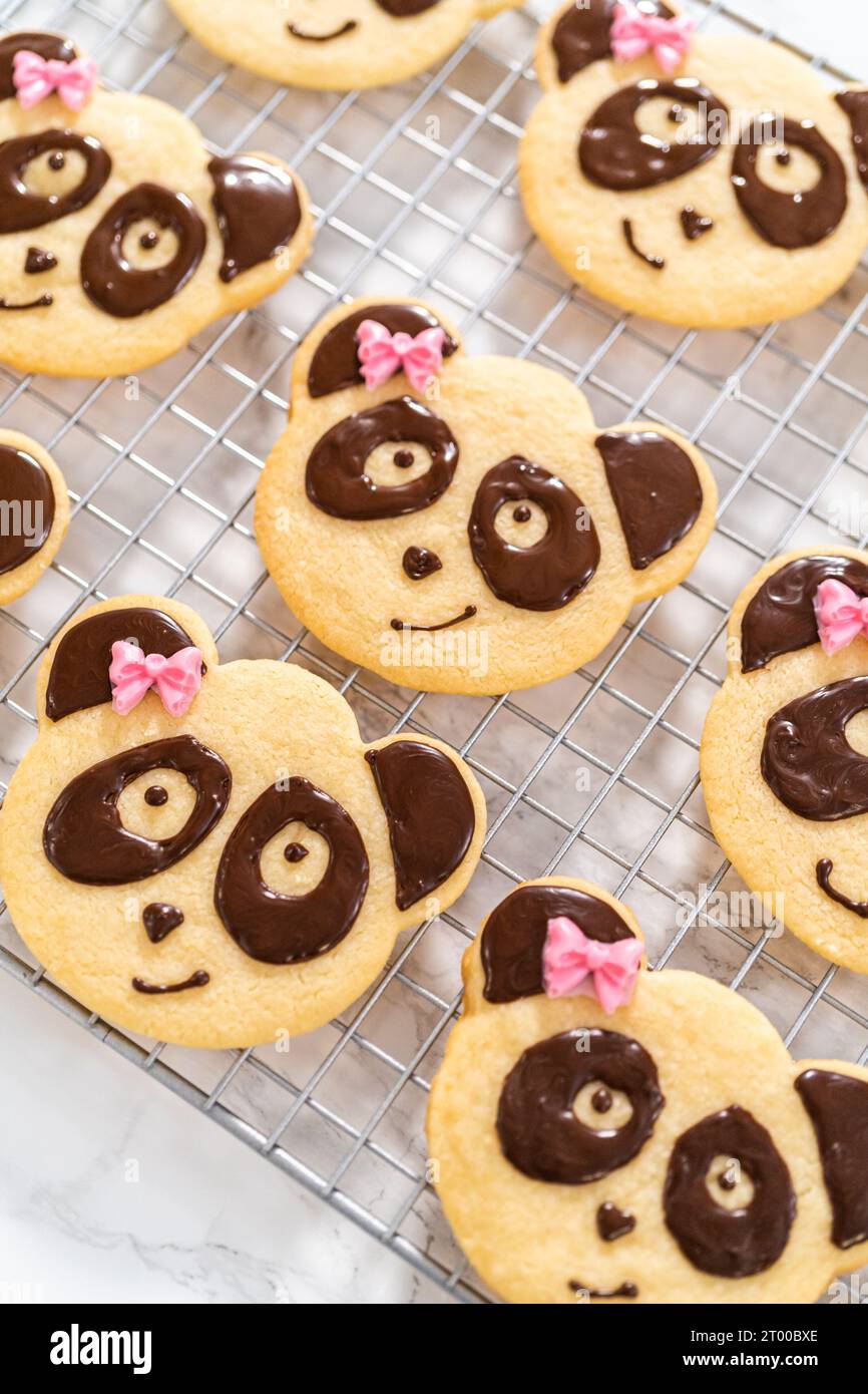 Panda shaped shortbread cookies with chocolate icing Stock Photo - Alamy