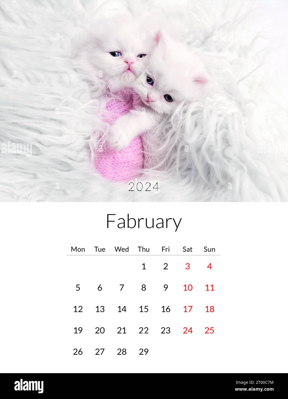 February 2024 Photo calendar with cute cats. Annual daily planner ...