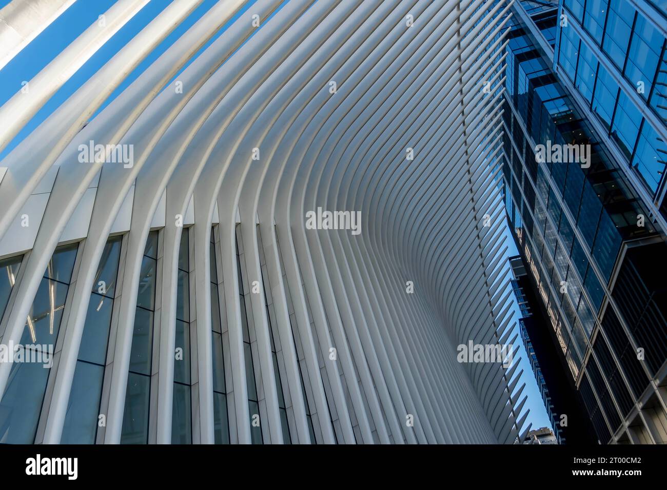 One World Trade Center Oculus building at Westfield World Trade Center ...