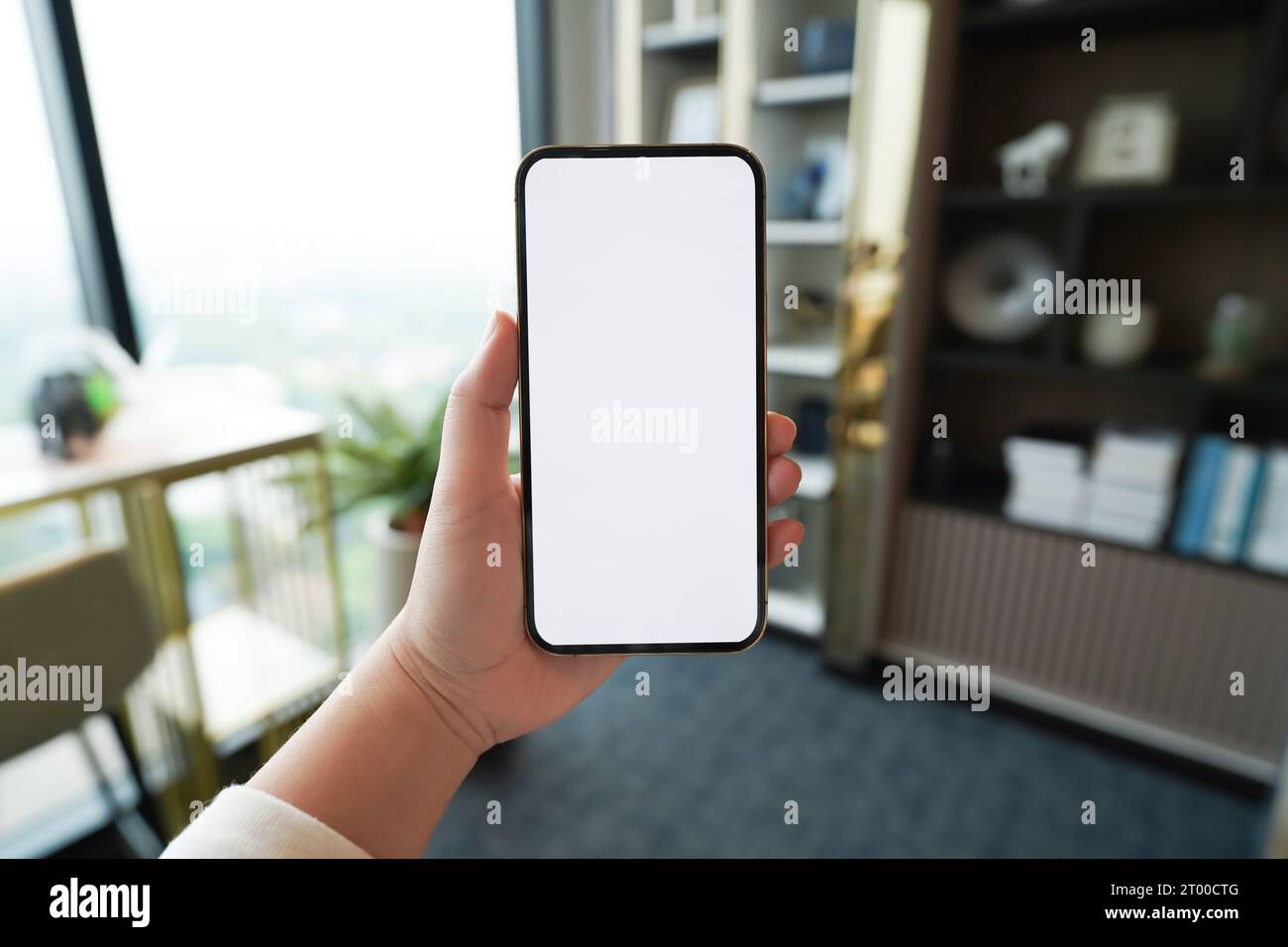 Close up of women's hands holding cell telephone blank copy space ...