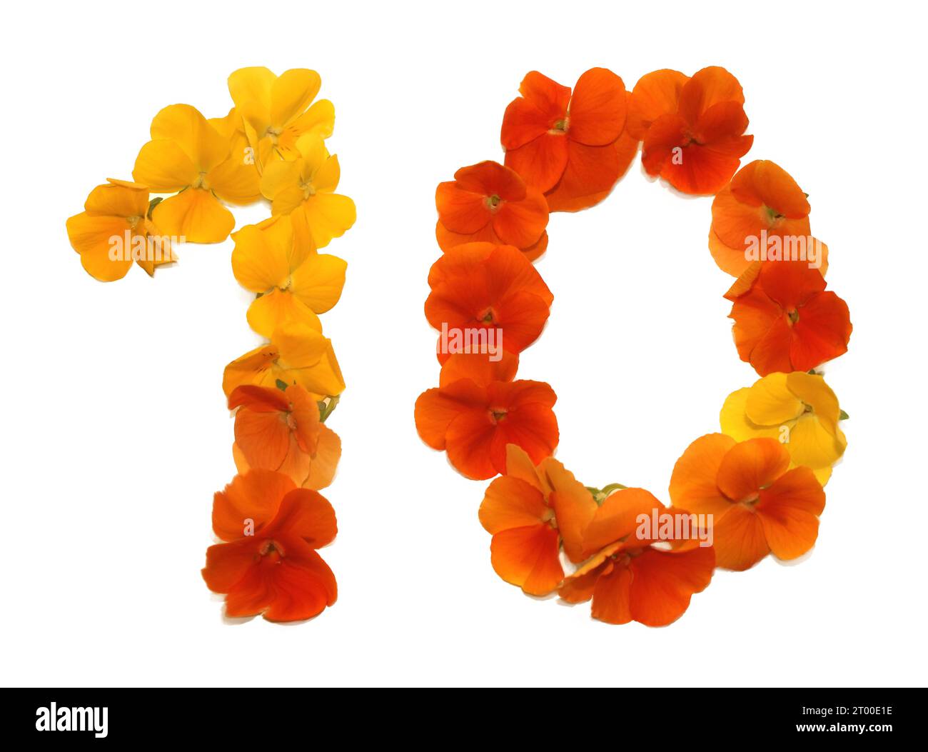 number made from freshly picked yellow, orange, red, flowers. isolated ...