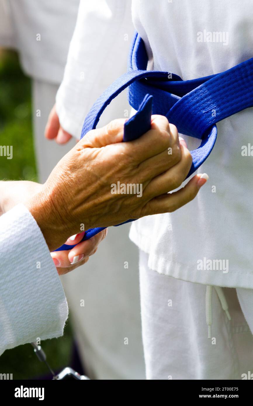 Tae Kwon Do Stock Photo - Alamy