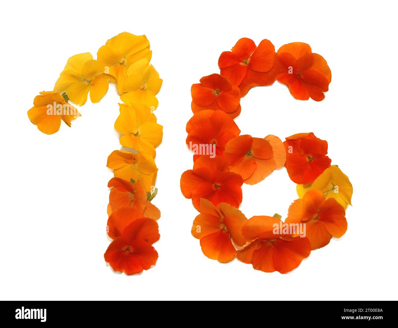 number made from freshly picked yellow, orange, red, flowers. isolated ...