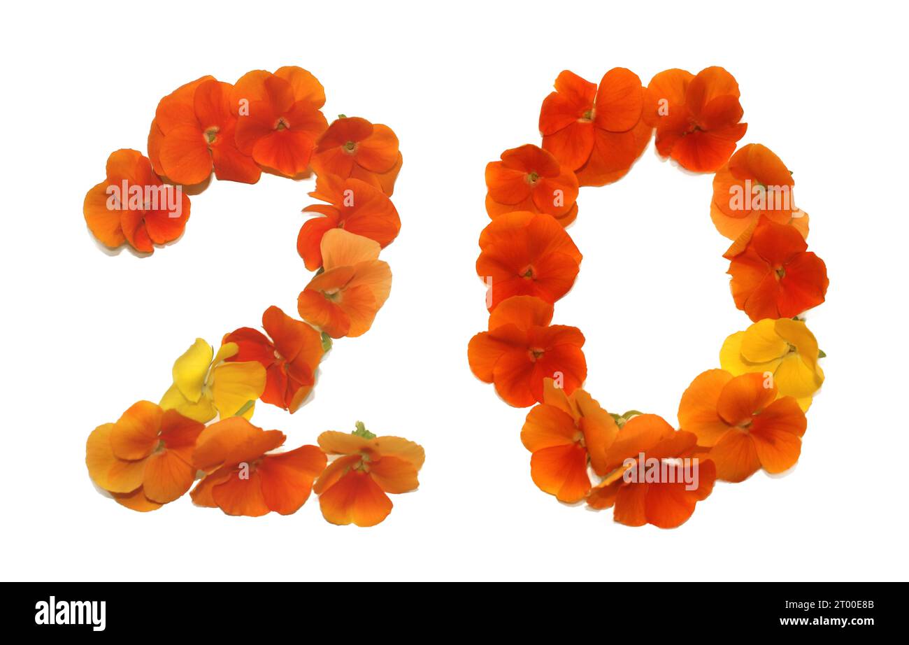 number made from freshly picked yellow, orange, red, flowers. isolated ...
