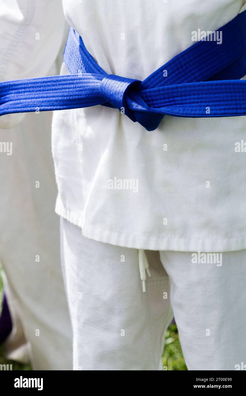 Tae Kwon Do Stock Photo - Alamy