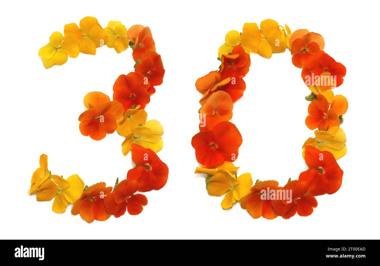 number made from freshly picked yellow, orange, red, flowers. isolated ...