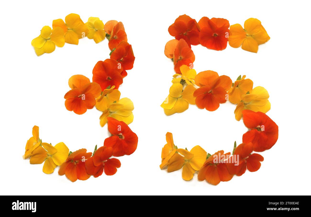 number, freshly picked yellow, orange, red, flowers. isolated on white ...