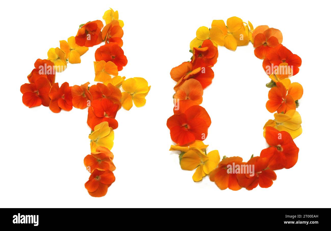 number made from freshly picked yellow, orange, red, flowers. isolated ...