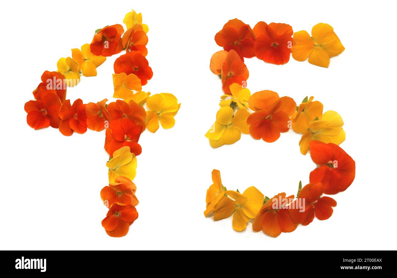 number made from freshly picked yellow, orange, red, flowers. isolated ...