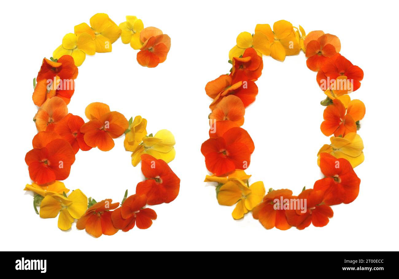 number made from freshly picked yellow, orange, red, flowers. isolated ...