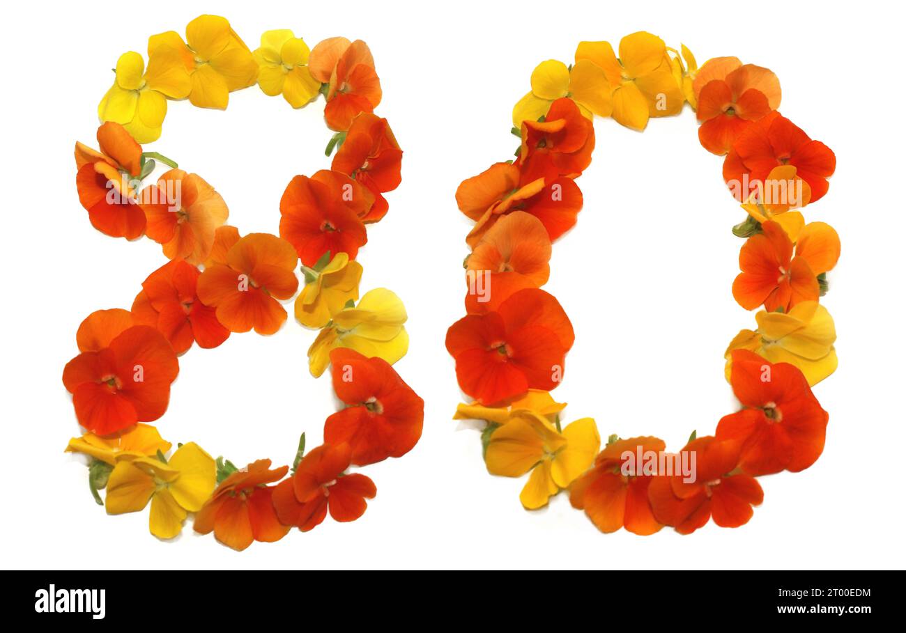 number made from freshly picked yellow, orange, red, flowers. isolated ...