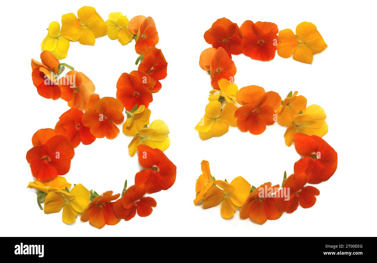 number made from freshly picked yellow, orange, red, flowers. isolated ...