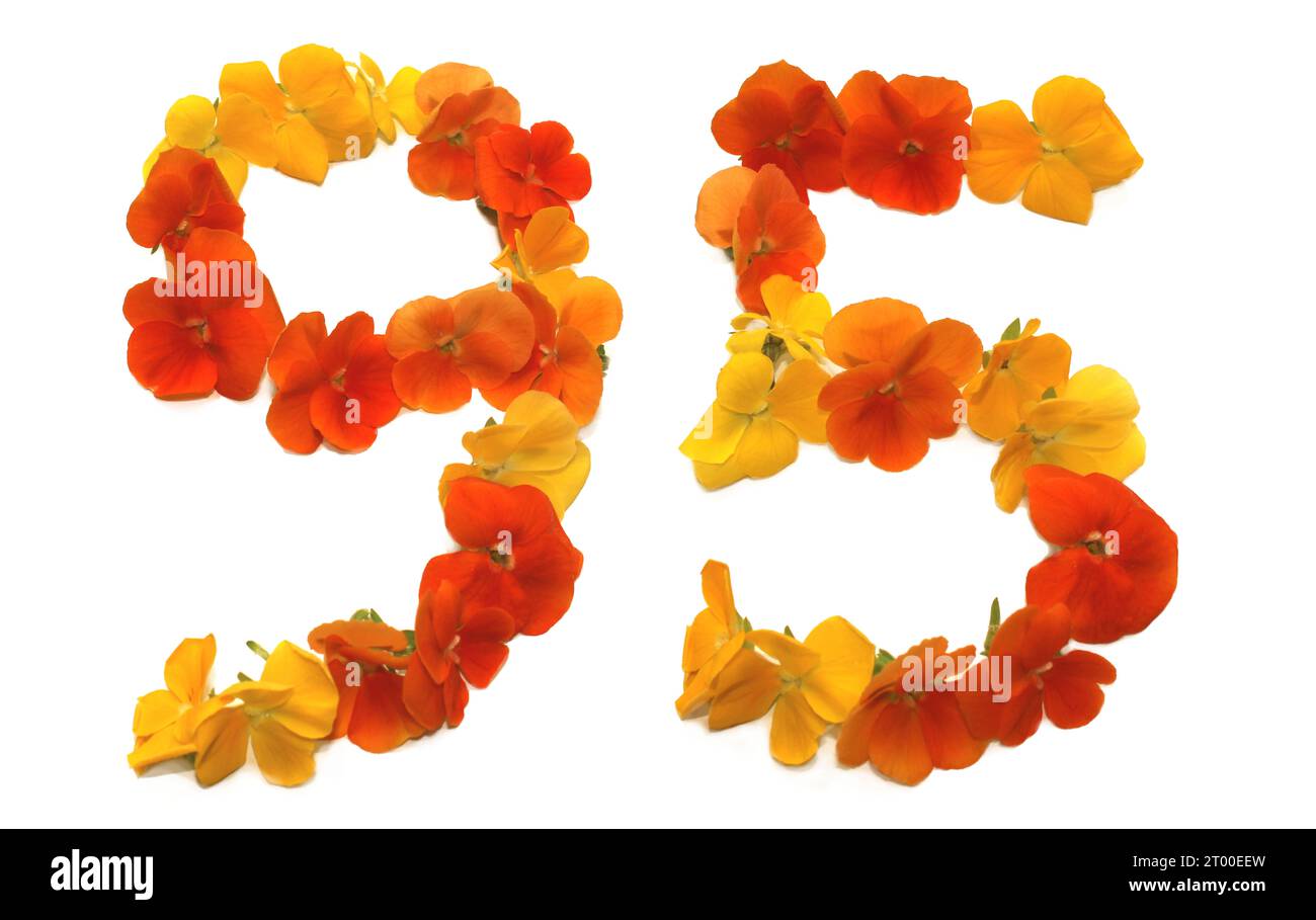 number made from freshly picked yellow, orange, red, flowers. isolated ...