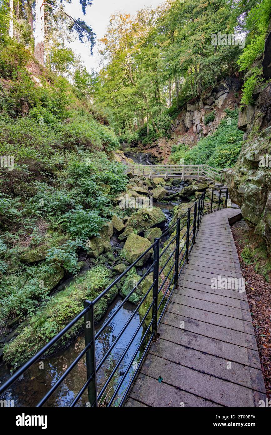 Gorge located on the estate below Cragside House in Northumberland ...