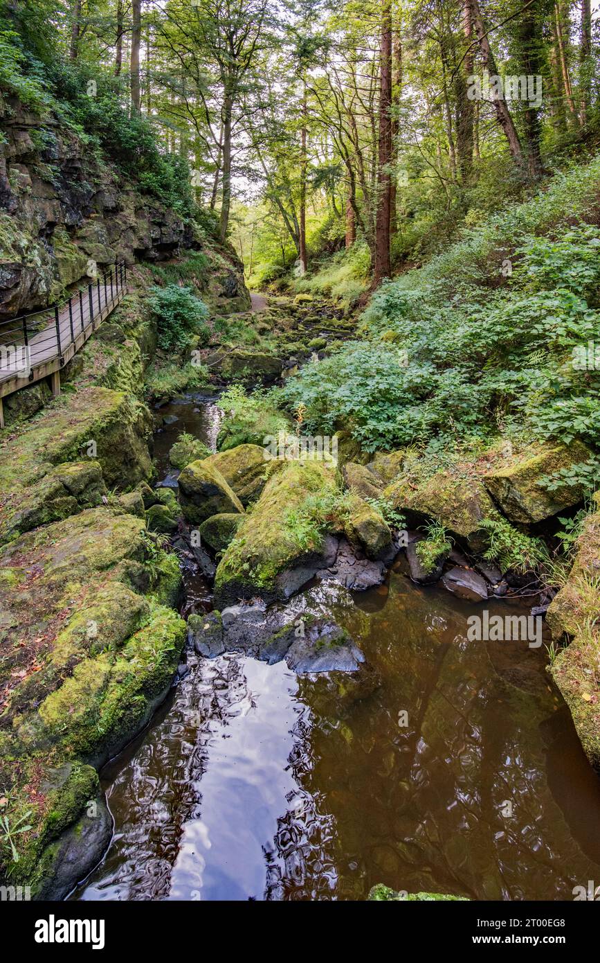 Gorge located on the estate below Cragside House in Northumberland ...