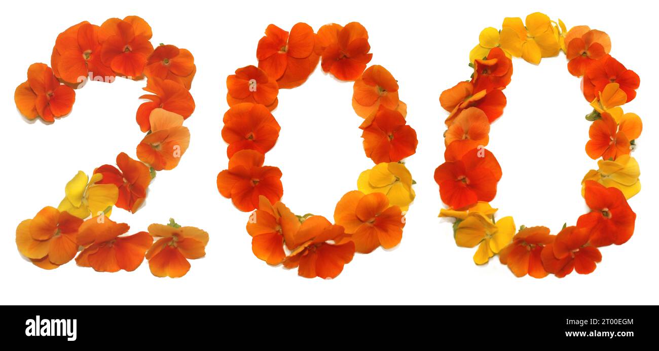 number made from freshly picked yellow, orange, red, flowers. isolated ...