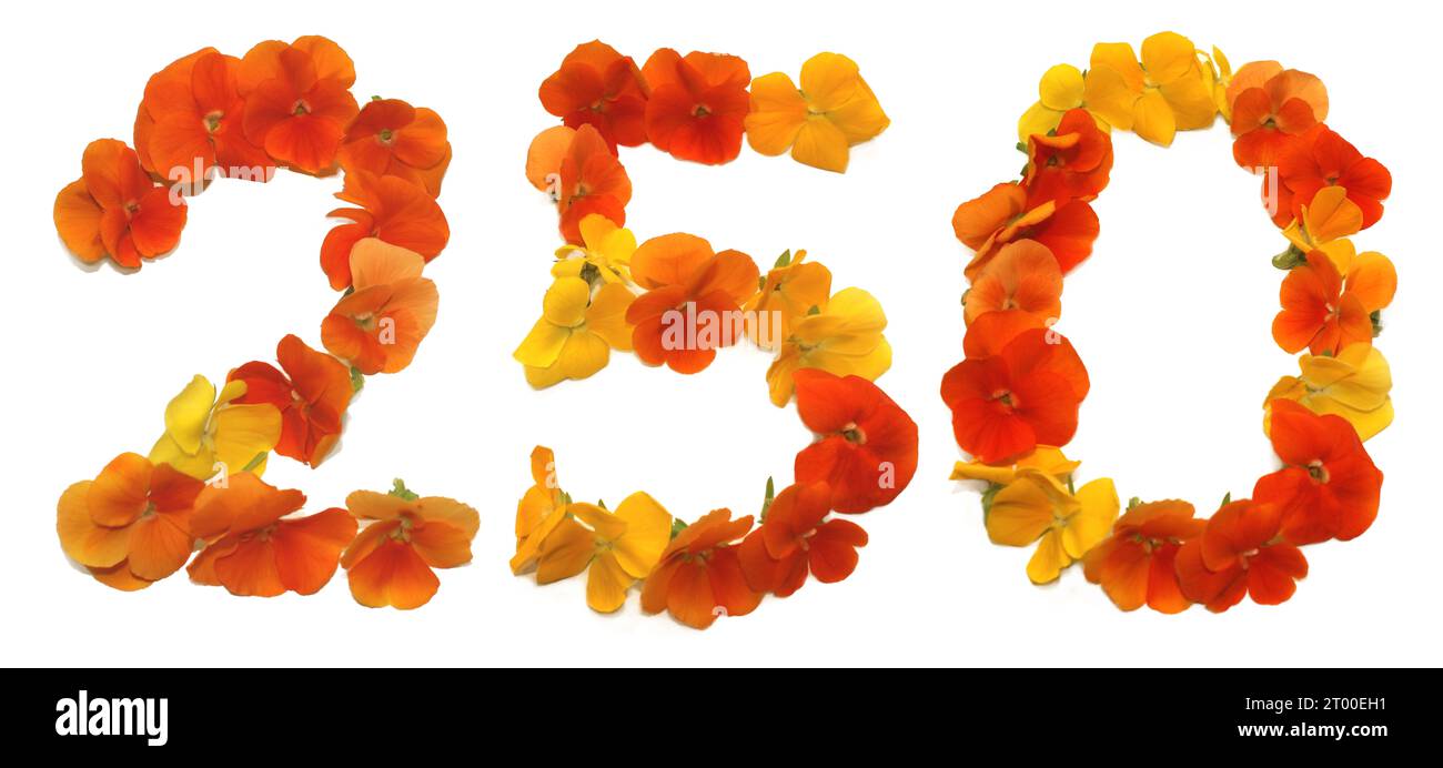 number made from freshly picked yellow, orange, red, flowers. isolated ...