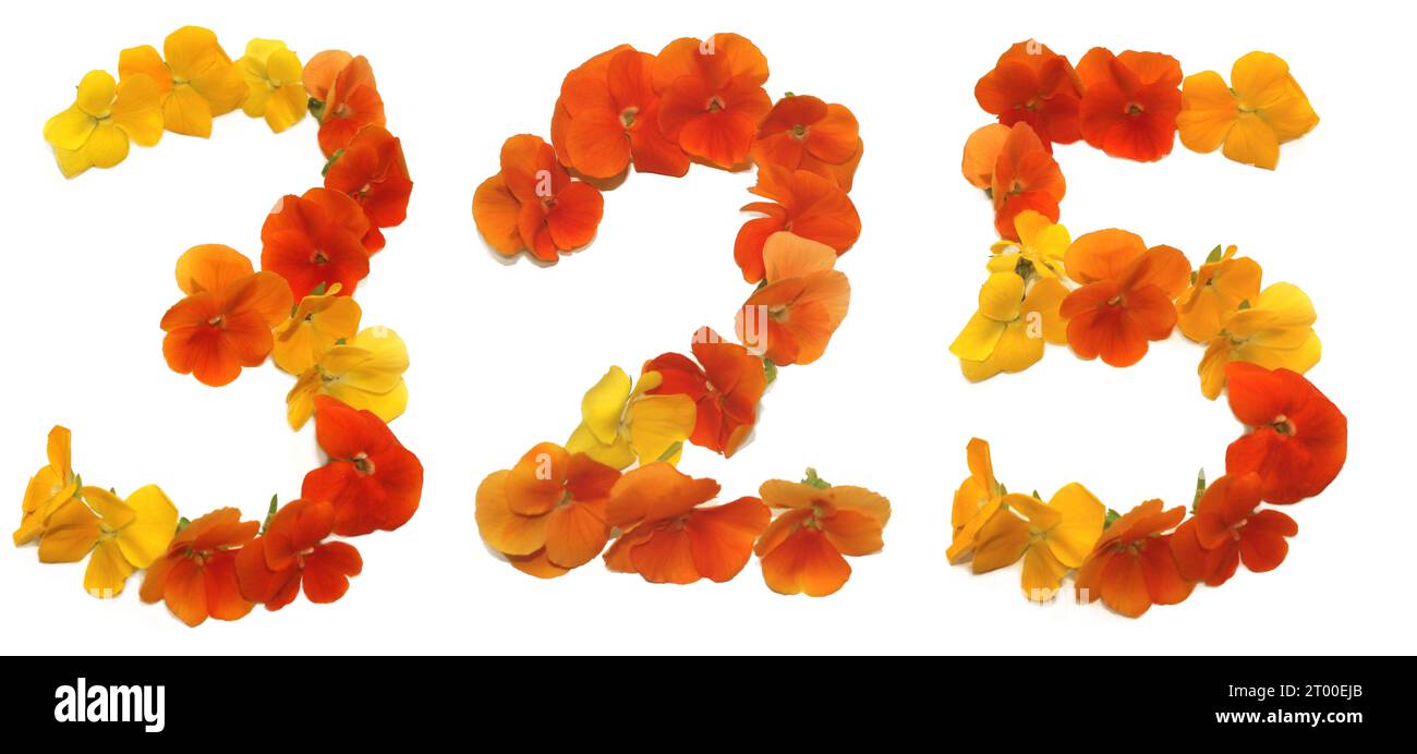 number made from freshly picked yellow, orange, red, flowers. isolated ...