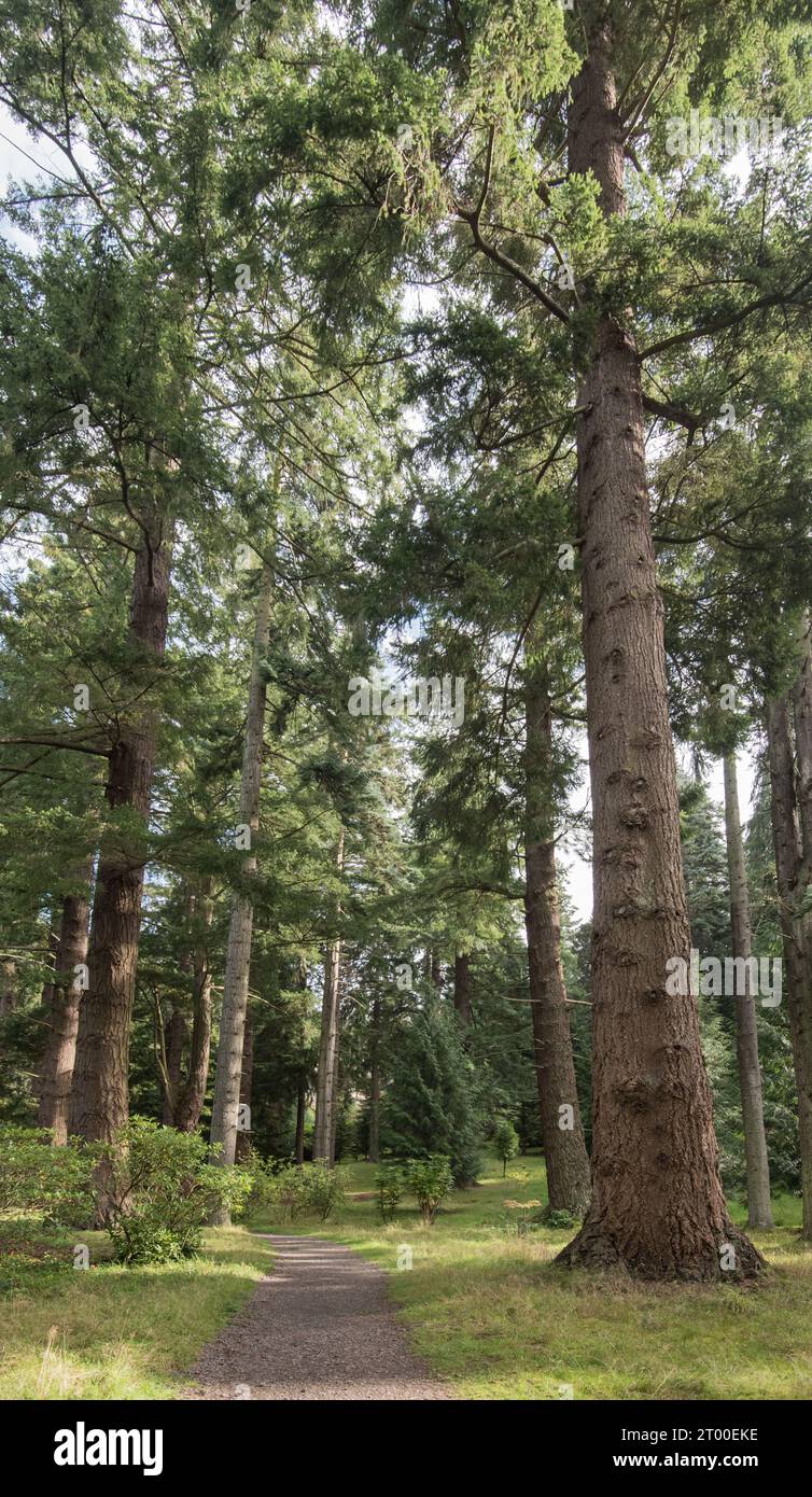 Prime examples of species from north america hi-res stock photography ...