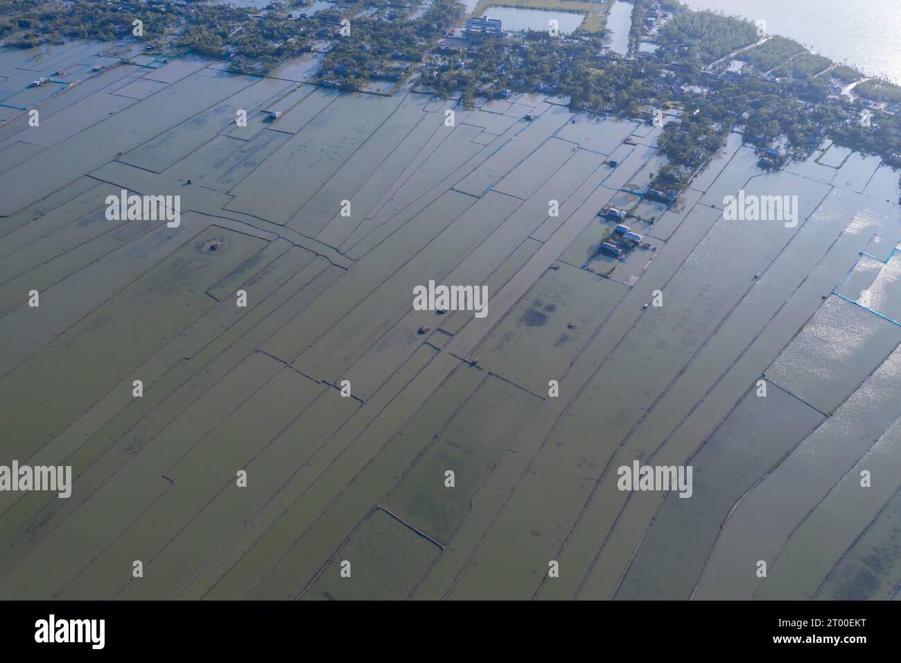 View of a desiccated floodplain at Gabura union in Shyamnagar Upajila ...
