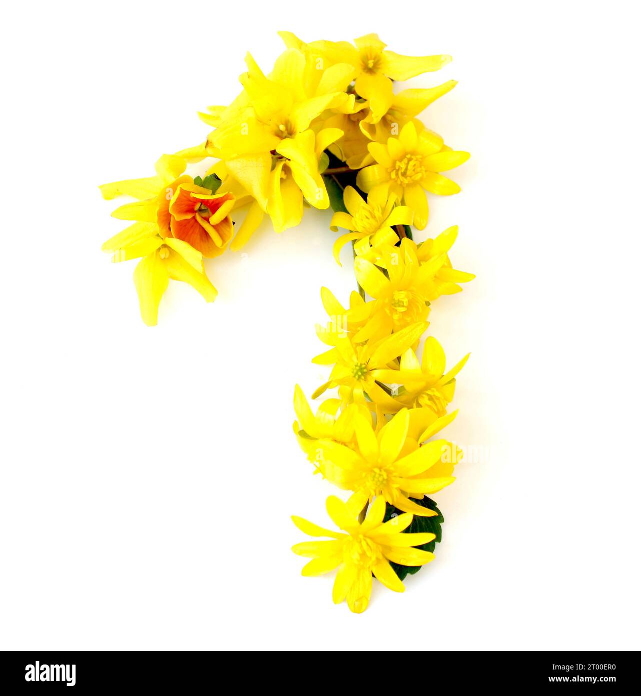 number made from freshly picked yellow, orange, flowers. isolated on ...