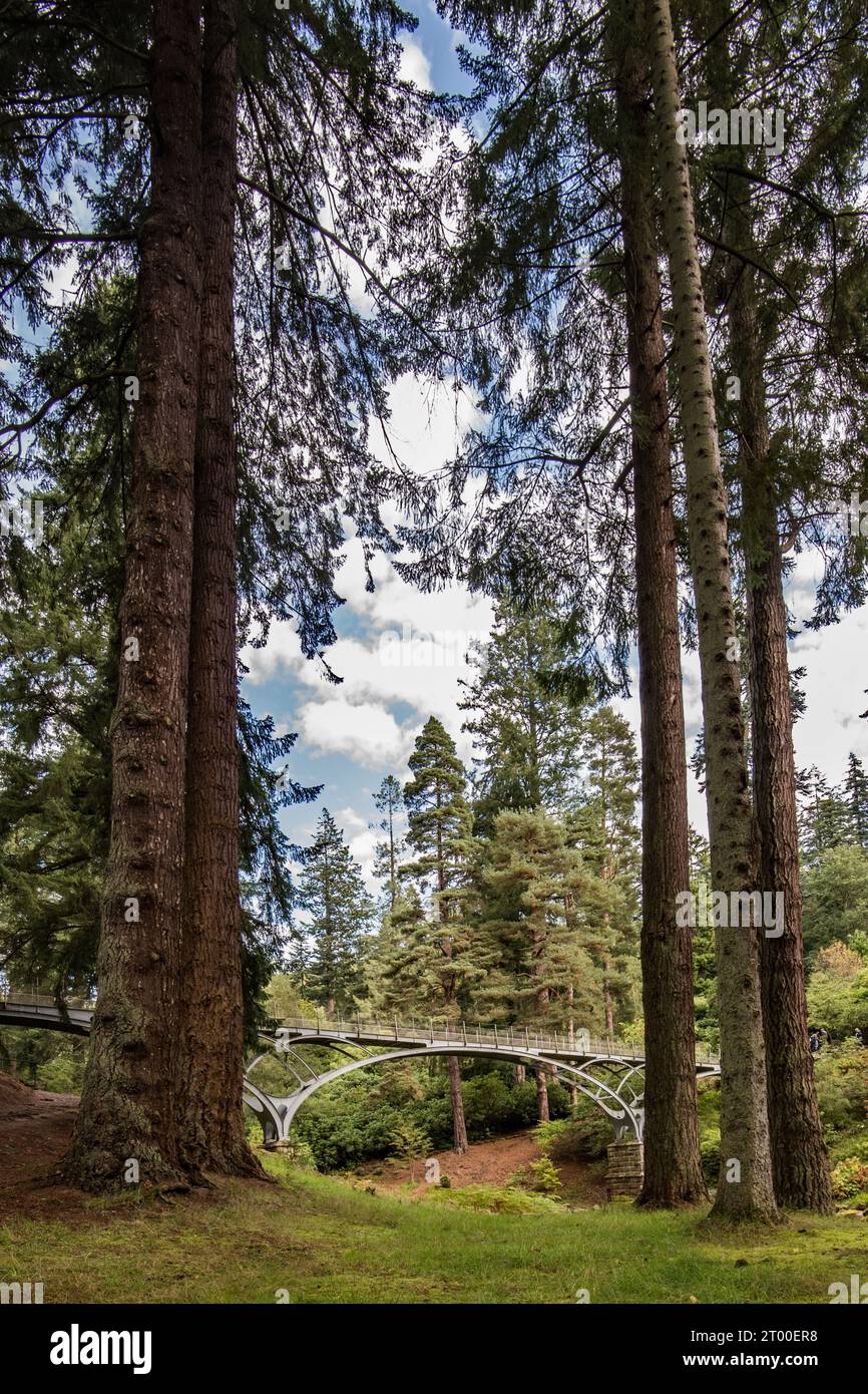 Lord armstrongs elswick works hi-res stock photography and images - Alamy