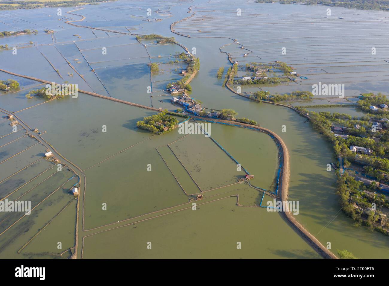 Gabura shrimp hi-res stock photography and images - Alamy