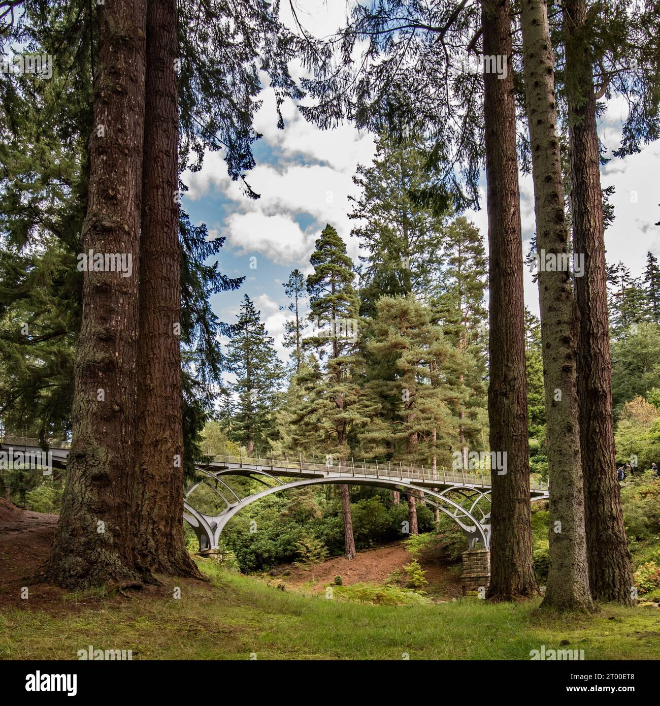 The iron footbridge over Debdon Burn at Cragside was manufactured in ...