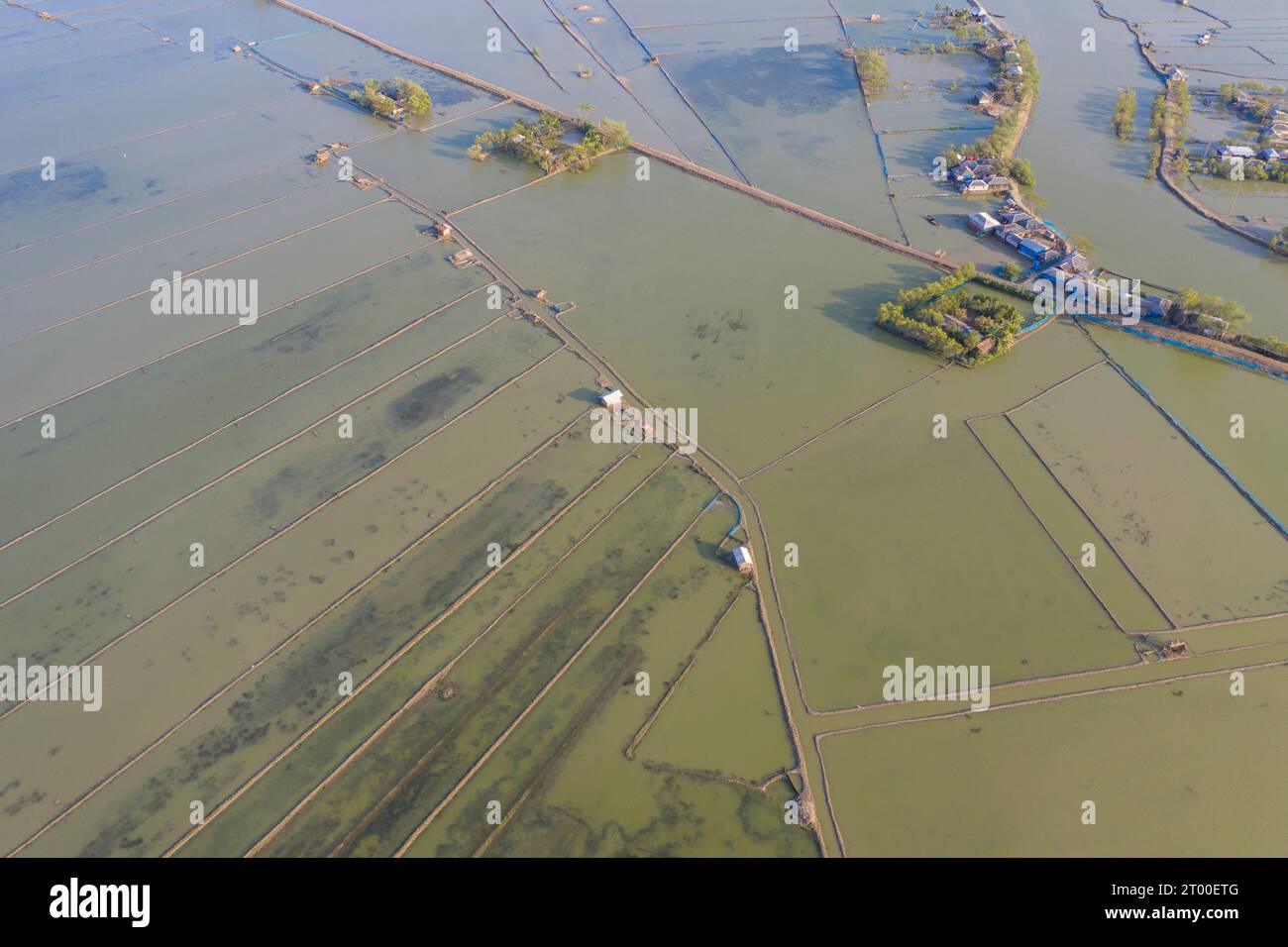 View of a desiccated floodplain at Gabura union in Shyamnagar Upajila ...