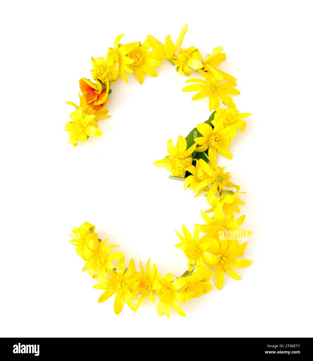 30 thirty three from flower hi-res stock photography and images - Alamy