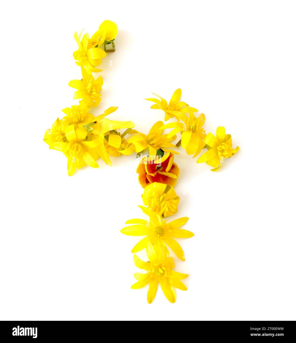number made from freshly picked yellow, orange, flowers. isolated on ...