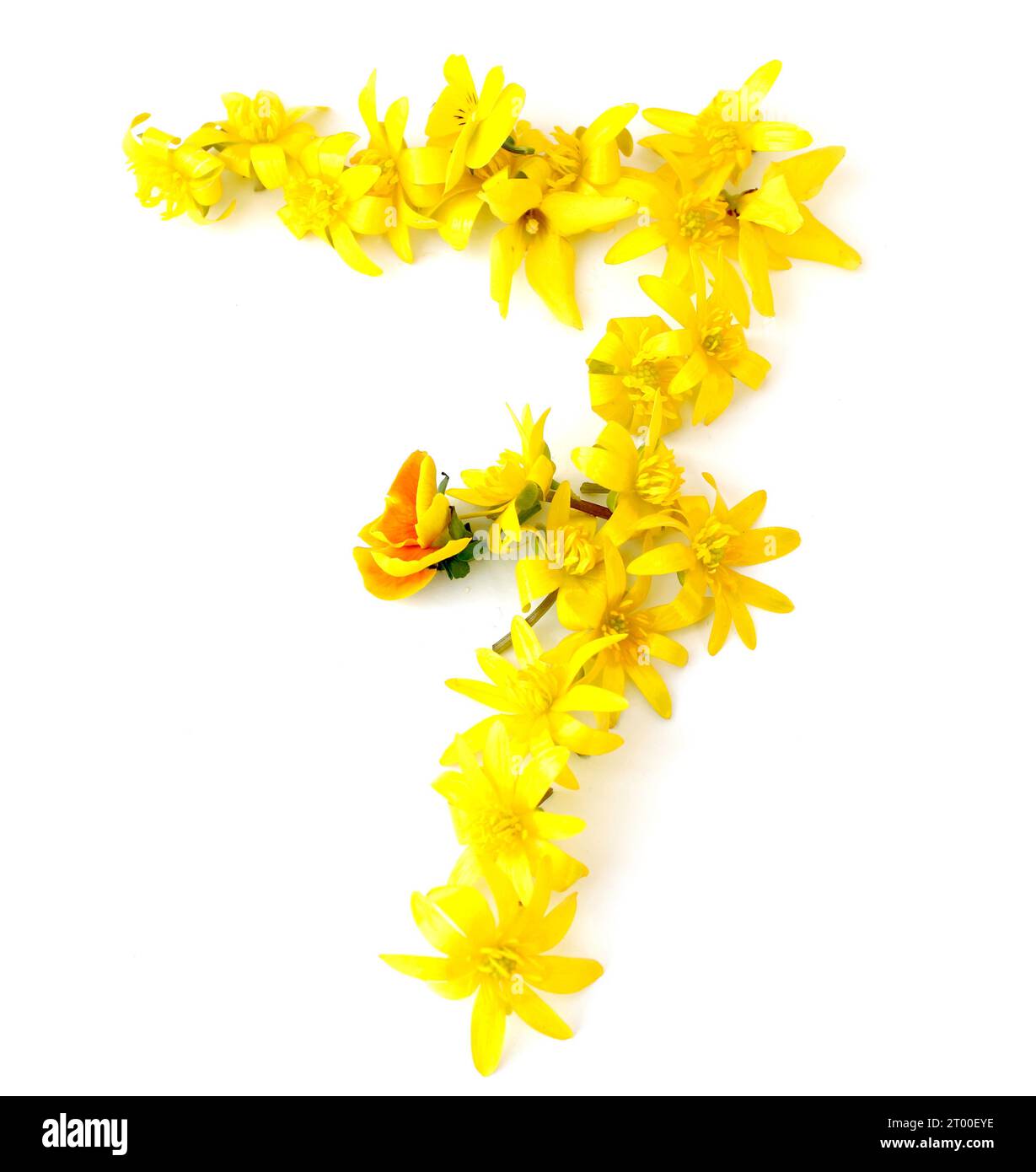 Yellow number 7 hi-res stock photography and images - Alamy