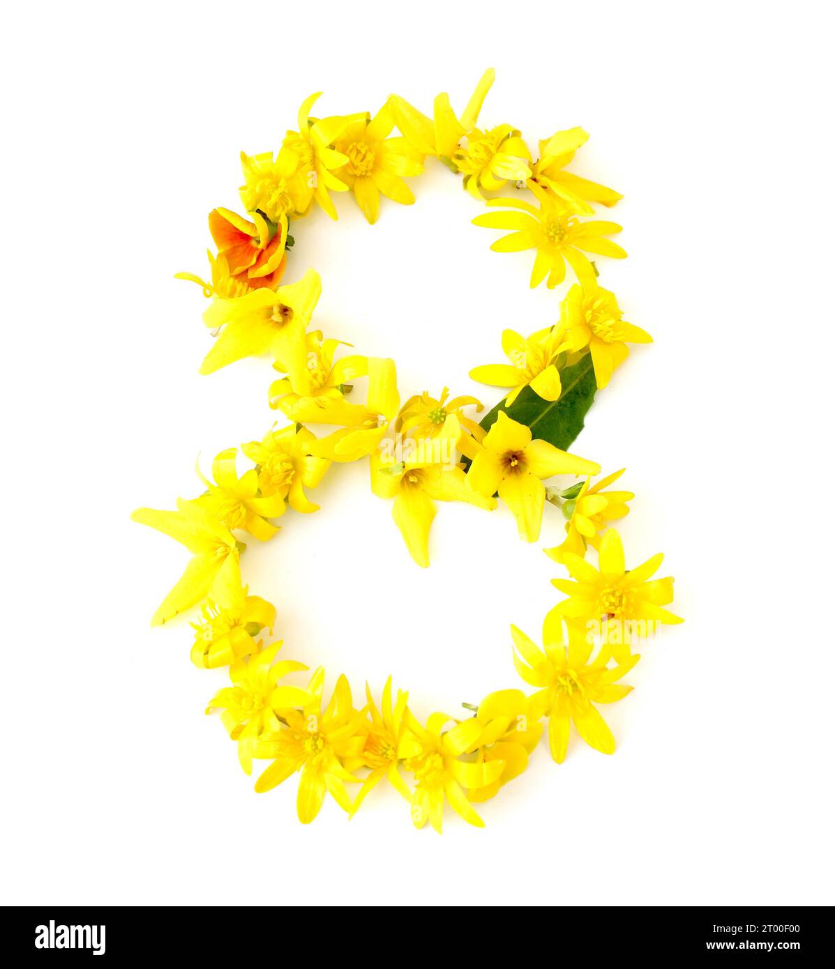 number made from freshly picked yellow, orange, flowers. isolated on ...