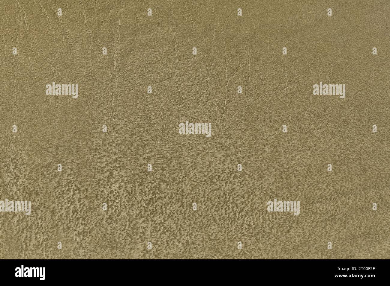 mustard yellow calf leather texture. The skin is bovine Stock Photo - Alamy