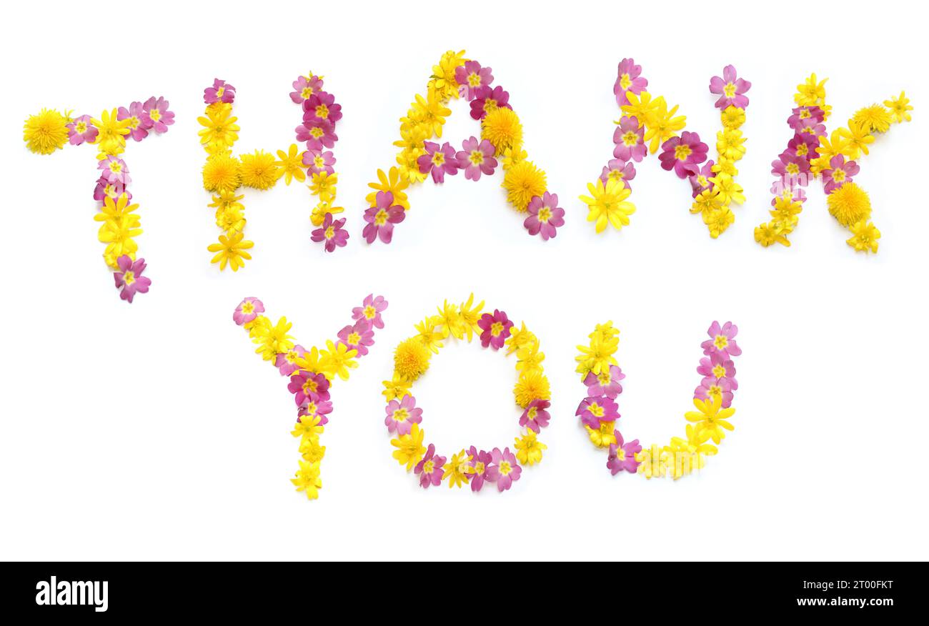 The word THANK YOU made of yellow pink red and orange flowers. floral ...