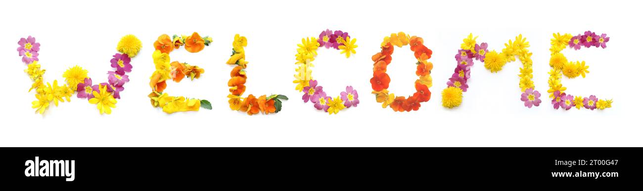 The word WELCOME made of yellow pink red and orange flowers. The floral ...