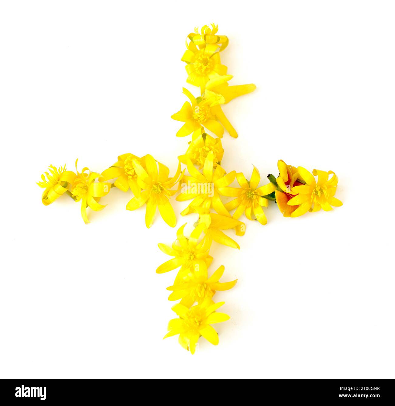 symbols, letters, freshly picked yellow, orange, flowers. for birthday ...