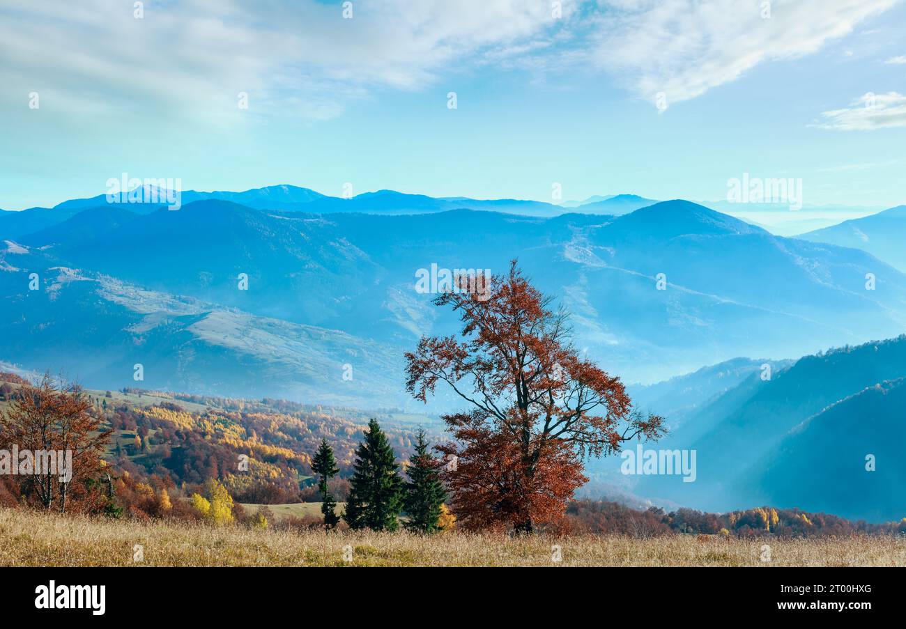 Beautiful carpathian scenery mountain hi-res stock photography and ...
